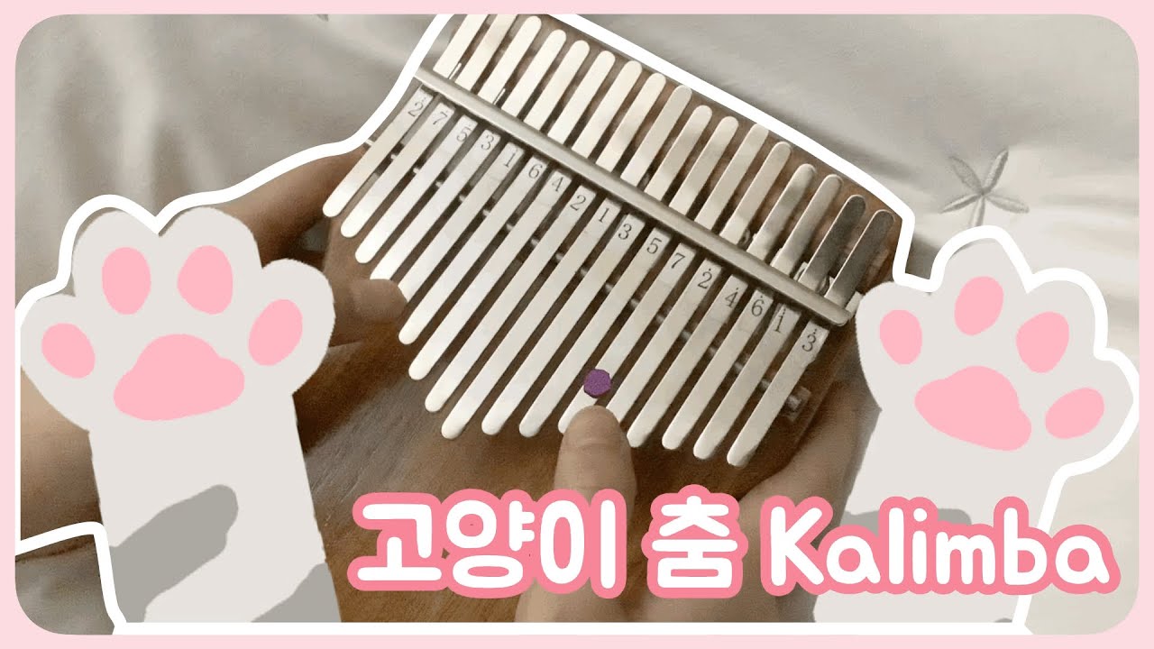 [칼림바] 고양이 춤 (kitty dance) | Kalimba cover - YouTube