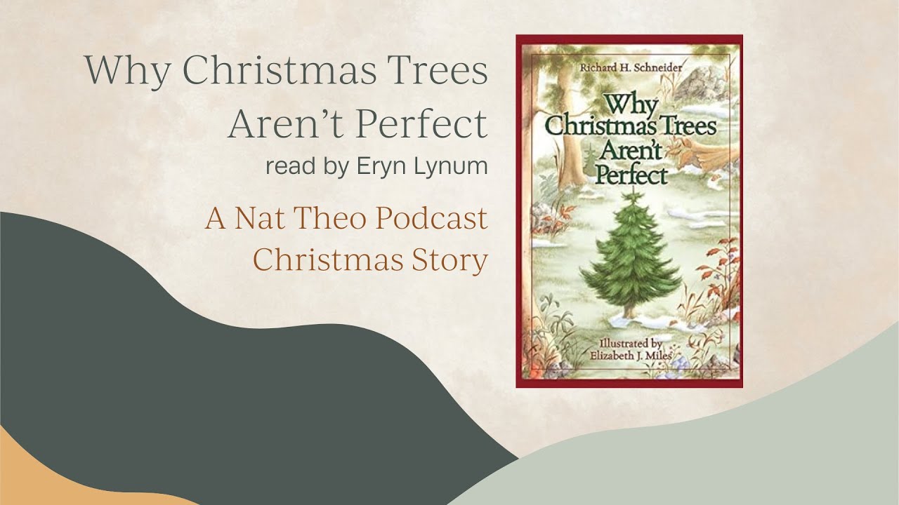 Why Christmas Trees Aren't Perfect - A Christmas Special - Episode 21 ...