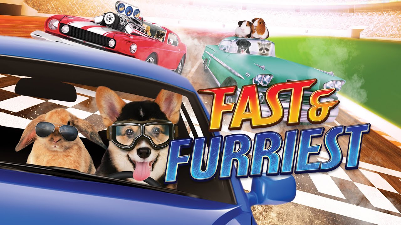 Fast and Furriest - Trailer - YouTube