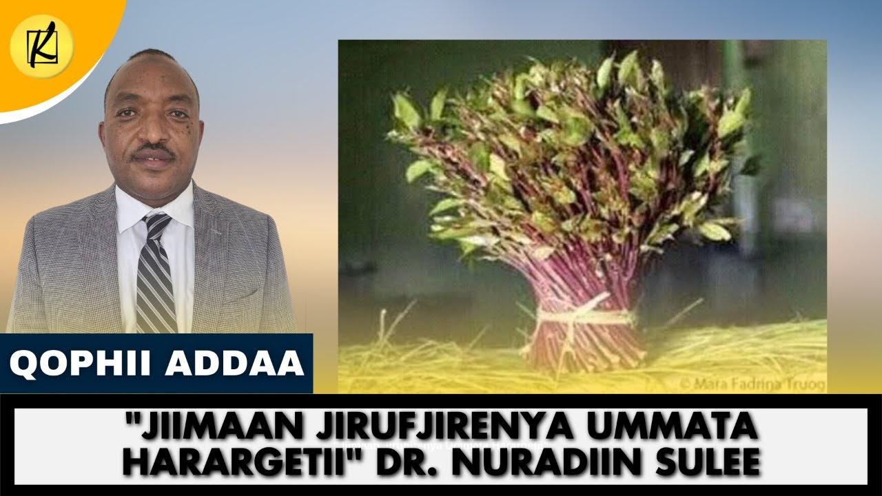 "Jiimaan Jirufjirenya Ummata Harargetii" Dr. nuradiin sulee | KELLO ...