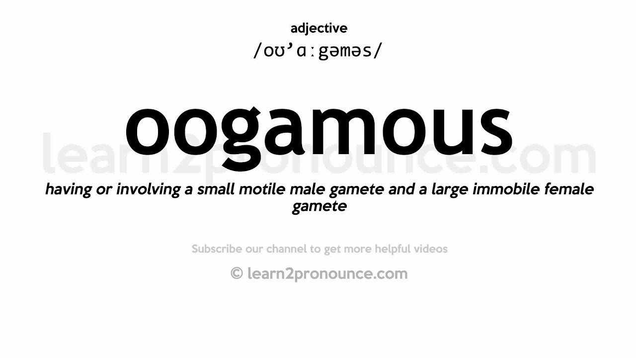 Pronunciation of Oogamous | Definition of Oogamous - YouTube