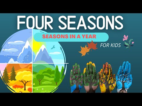 Learn Four Seasons - 4 Seasons In A Year - English Educational Video For Kids
