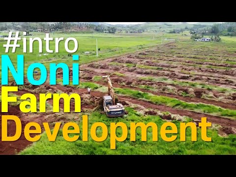 Drone footage intro to our noni farm development/noni farm in fiji/남태평양 ...