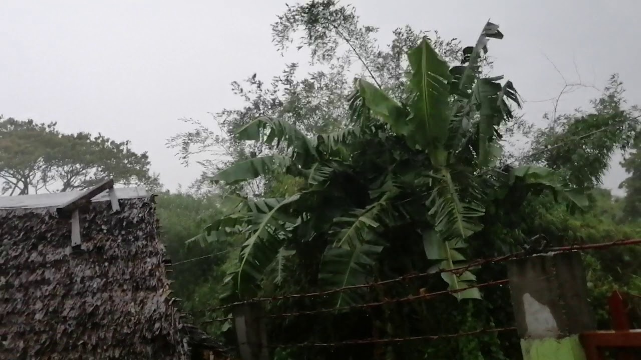 Storm Surge| #Typhoon Ambo | 05-15-2020 |Pili Camsur - YouTube