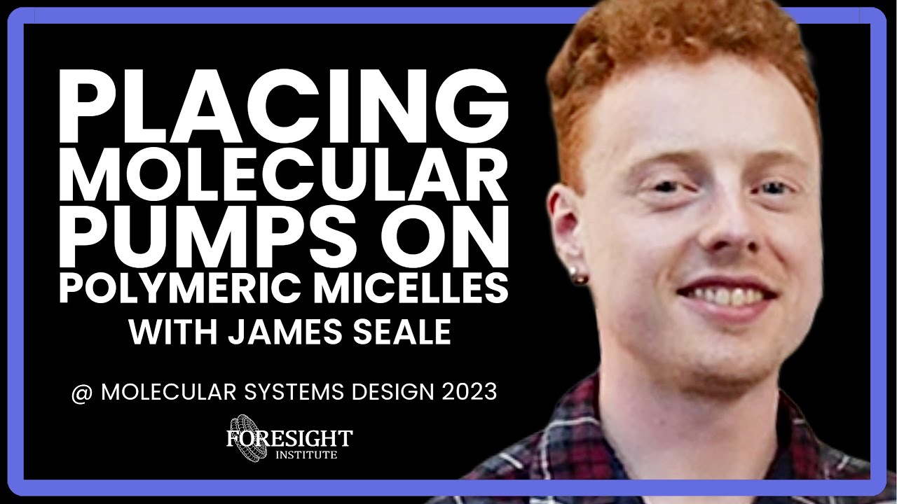 James Seale | Placing Molecular Pumps on Polymeric Micelles @ Molecular Systems Design Workshop ...