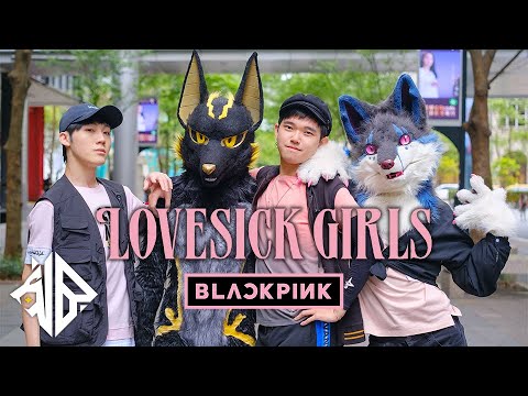 [KPOP IN PUBLIC CHALLENGE] Blackpink - Lovesick Girls | Fursuit Dance ...