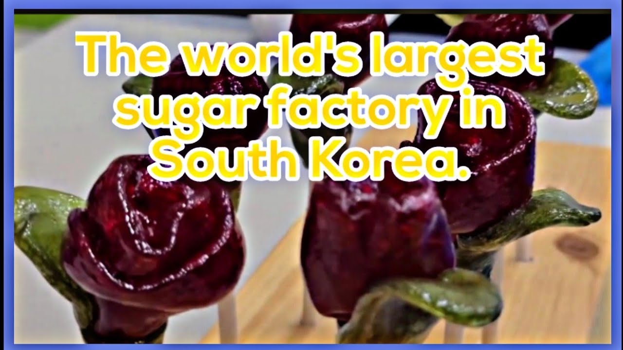 The world's largest sugar factory in South Korea. - YouTube