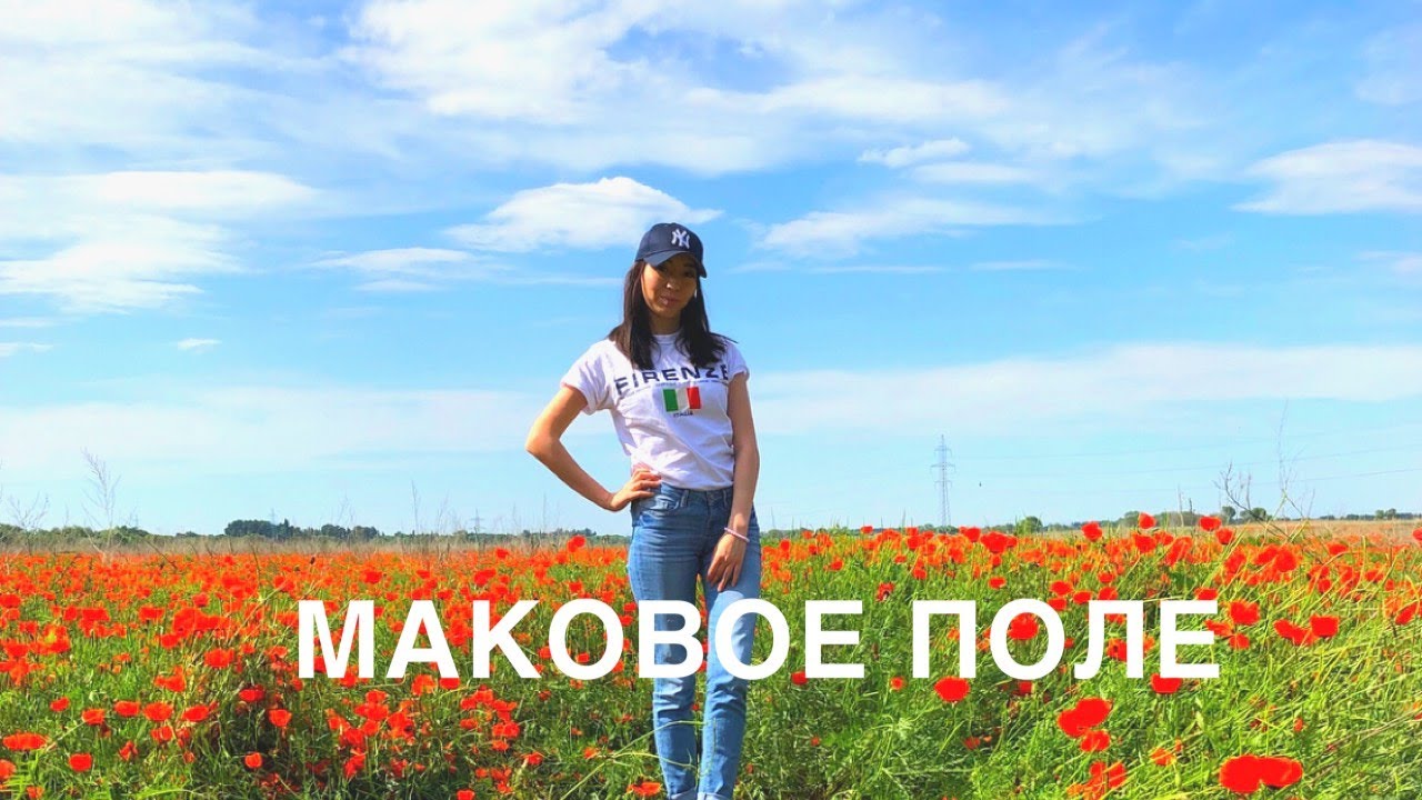 VLOG. Маковое поле близ Алматы/Poppy fields (Almaty, Kazakhstan) - YouTube