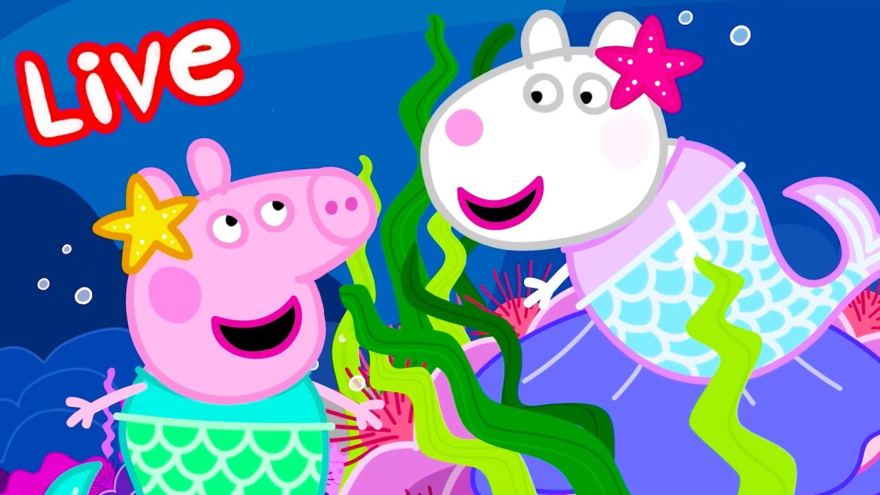 Les histoires de Peppa Pig 🐽 Épisodes Complets 🔴 Peppa Pig Français ...