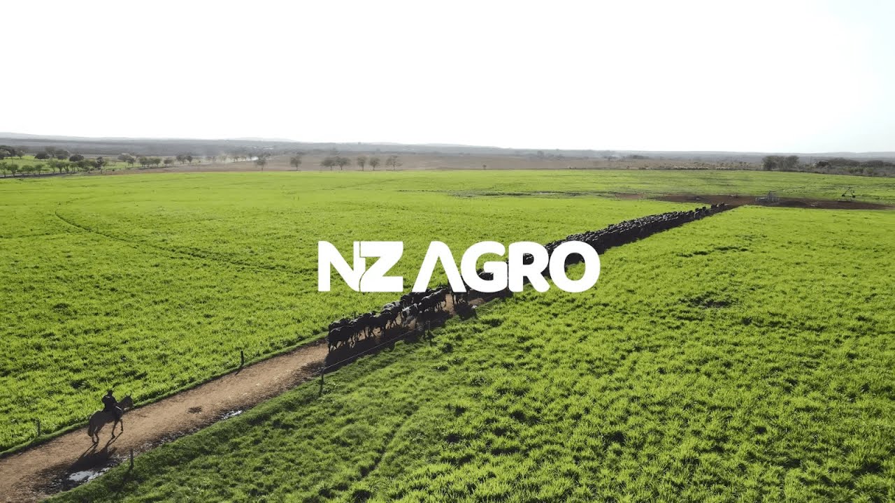 NZ Agro | Vídeo Institucional - YouTube
