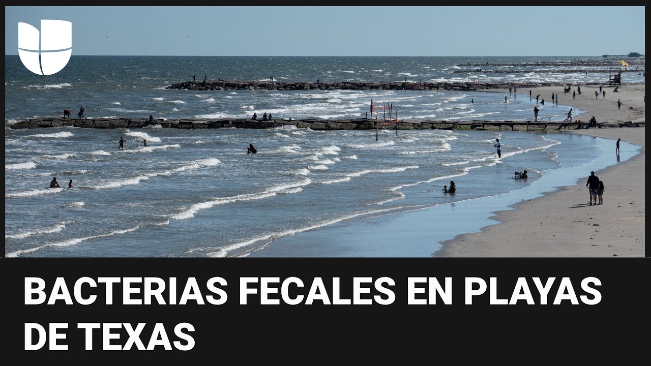 Encuentran bacterias fecales en el 90% de las playas en Texas, advierte ...