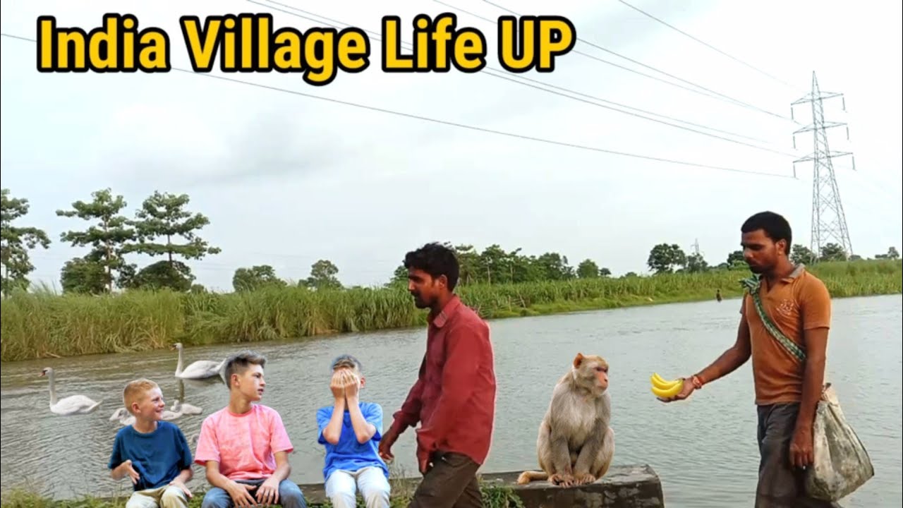 Indian Village Life In Uttar Pradesh || Rural India Village Life In UP ...