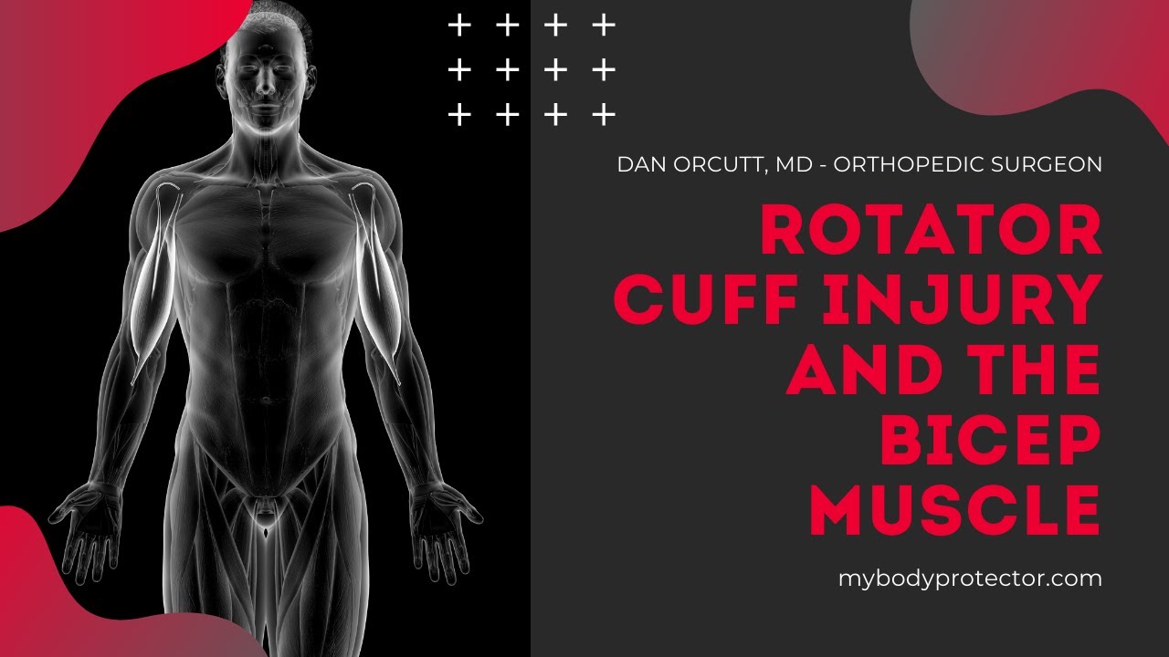 Rotator Cuff Pain and the Bicep Muscle - Dan Orcutt, MD. - Orthopedic ...
