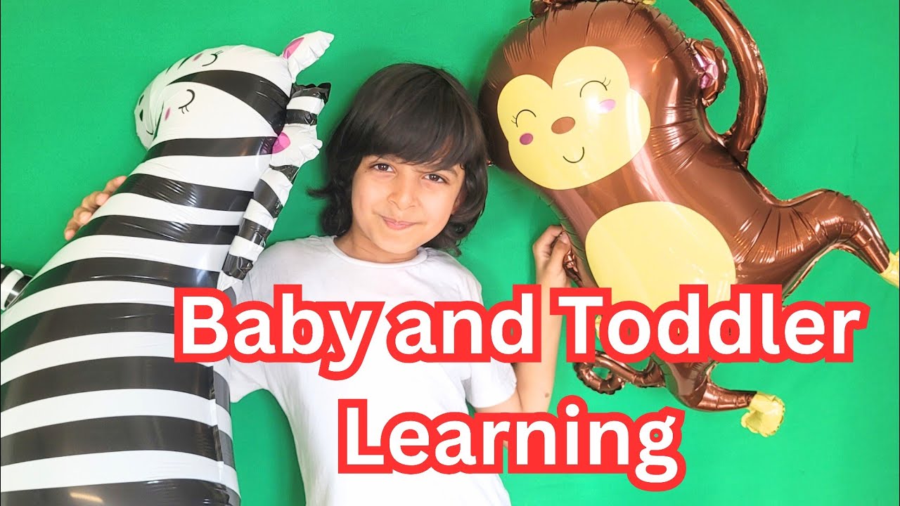 Animals video for kids - Baby first words and animal songs - YouTube