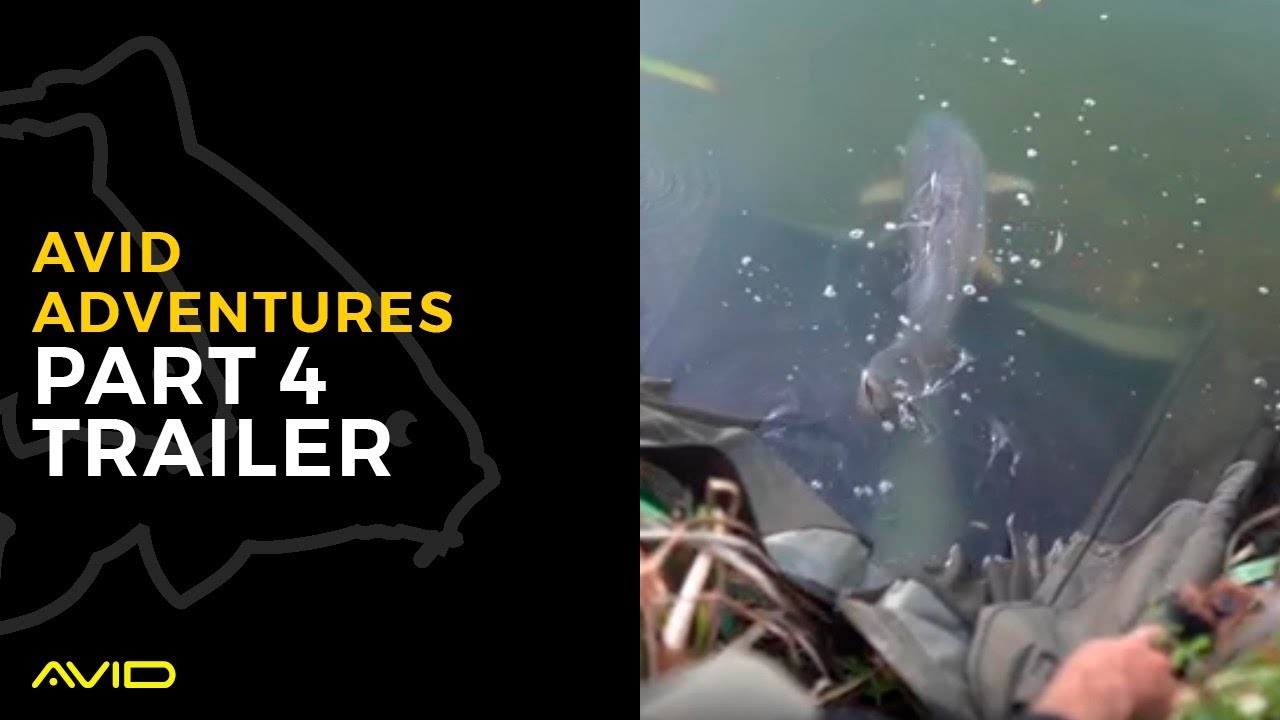 Avid Adventures Part 4 Trailer- French Feature Length Special - YouTube