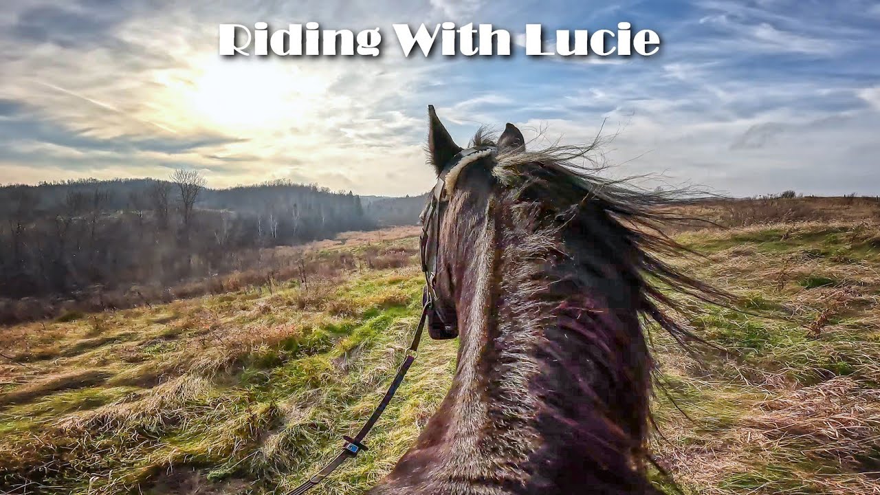 GoPro Hero 11 Virtual Horse Riding With Lucie - Trails And Back To The ...