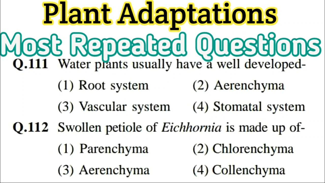 adaptations in plants || hydrophytes || xerophytes || ecology mcq ...
