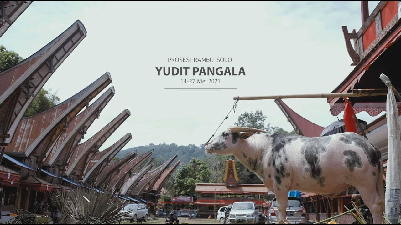 Prosesi RAMBU SOLO [ Yudit Pangala ] Toraja Utara - YouTube