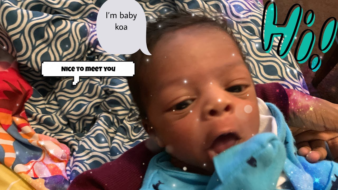 Meet Baby Koa - YouTube