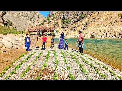 🐟🔥 Cooking fresh fish by the river: Happy moments for the Omid family in the heart of nature 🌿❤️