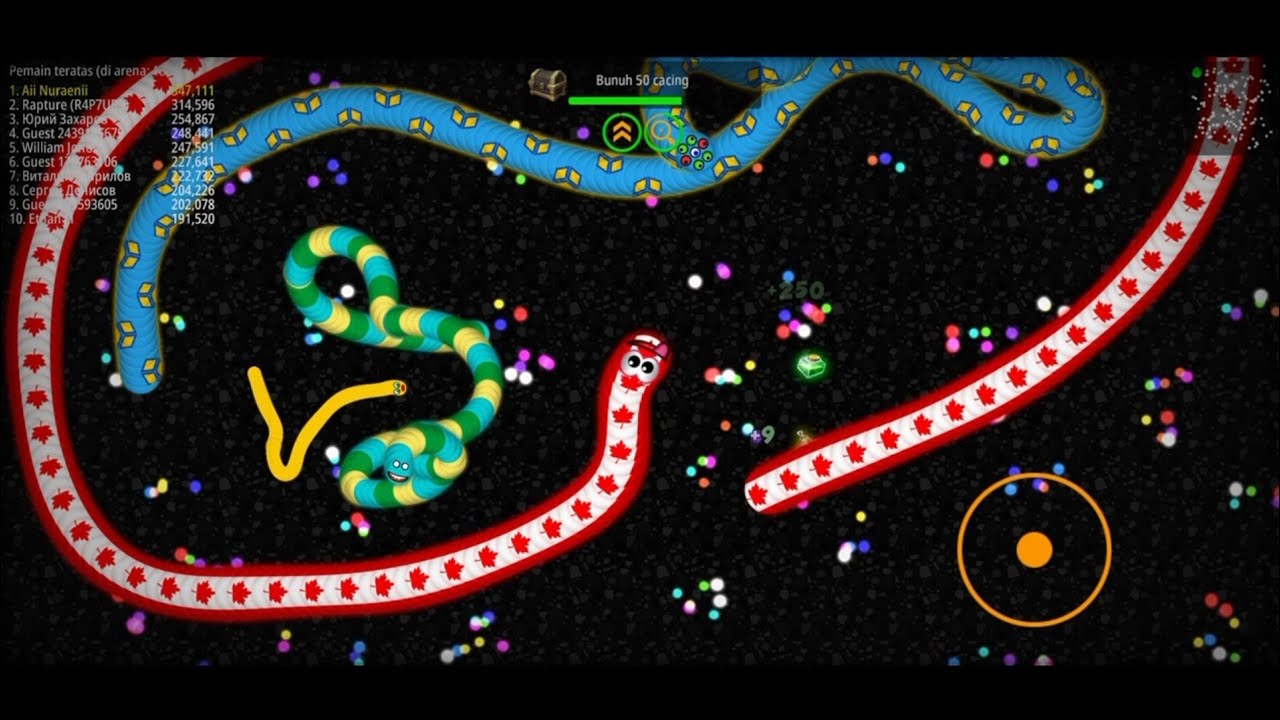 Main Game Cacing lagi - YouTube