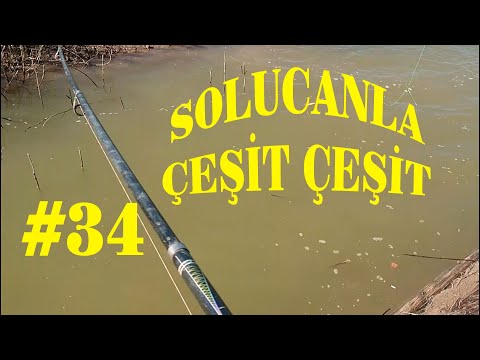Solucanla ile BALIK AVI.SAZAN AVI.Yayın Avı.Kefal.Şamandıralı.Catch Fish.Float.Carp.catfishing #34