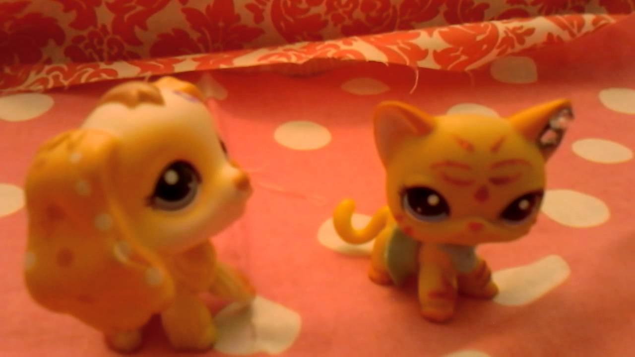 Lps- updates lps- popular/ new series? - YouTube