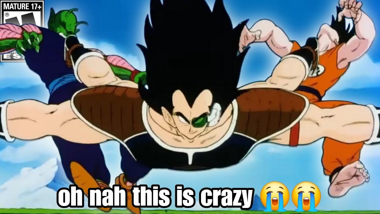RADITZ Had GOKU and PICCOLO Fighting for they Lives. - YouTube