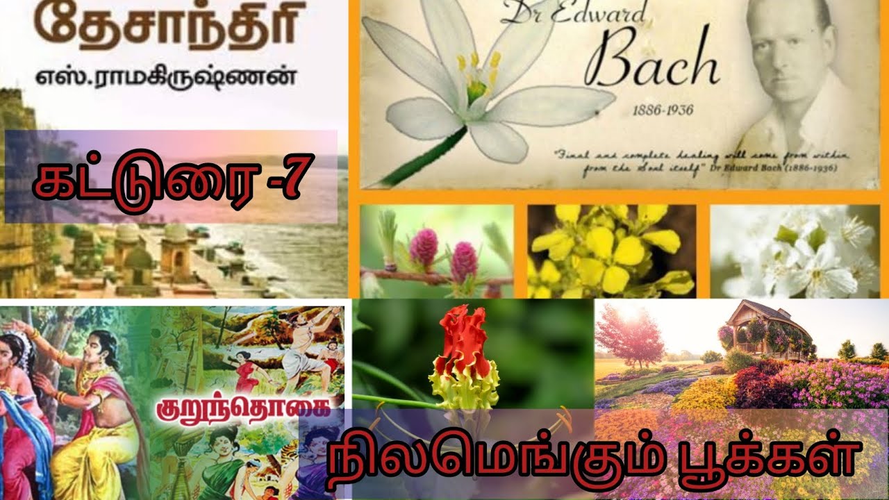 தேசாந்திரி [Desanthiri] S.Ramakrishnan /Part -7/audiobook/Bakkiya ...