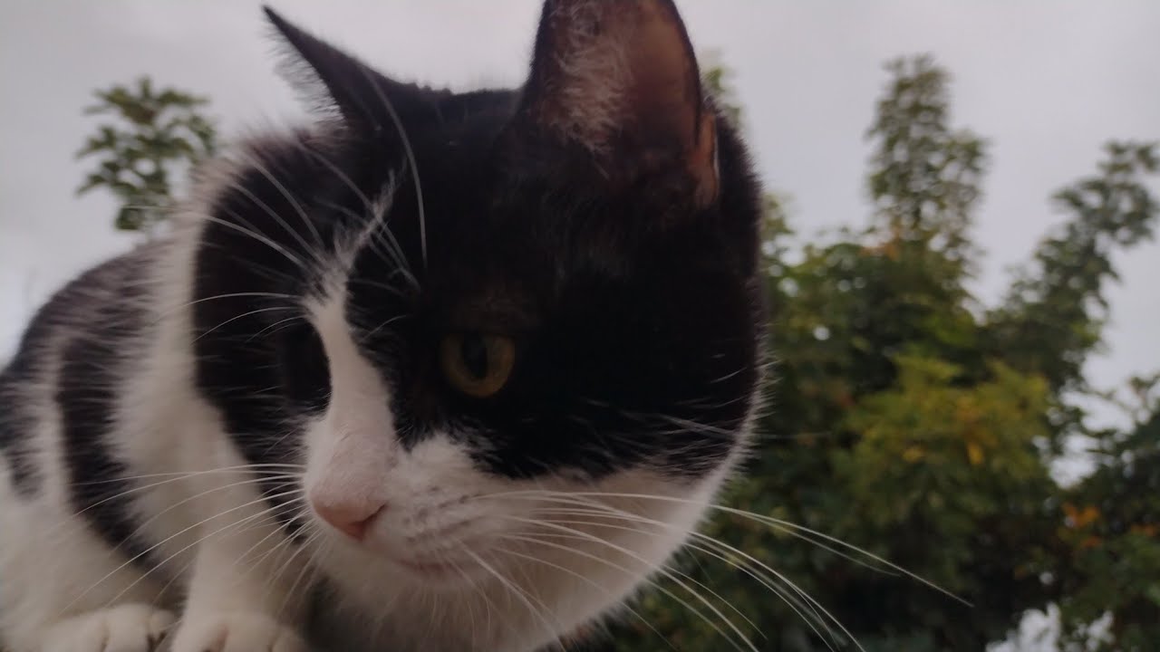 mimi y sus mimos [08072023] - YouTube