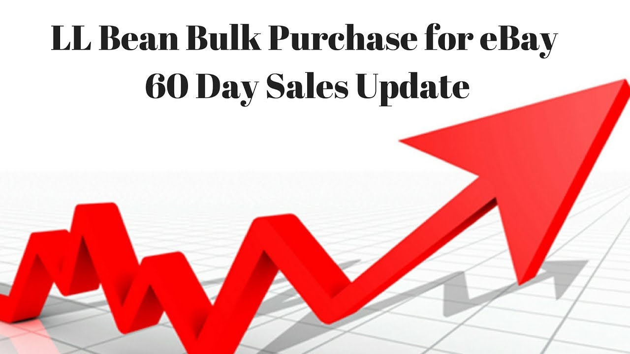 LL BEAN 60 Day Bulk Buy Update - Momentum is Building - Scaling my eBay ...