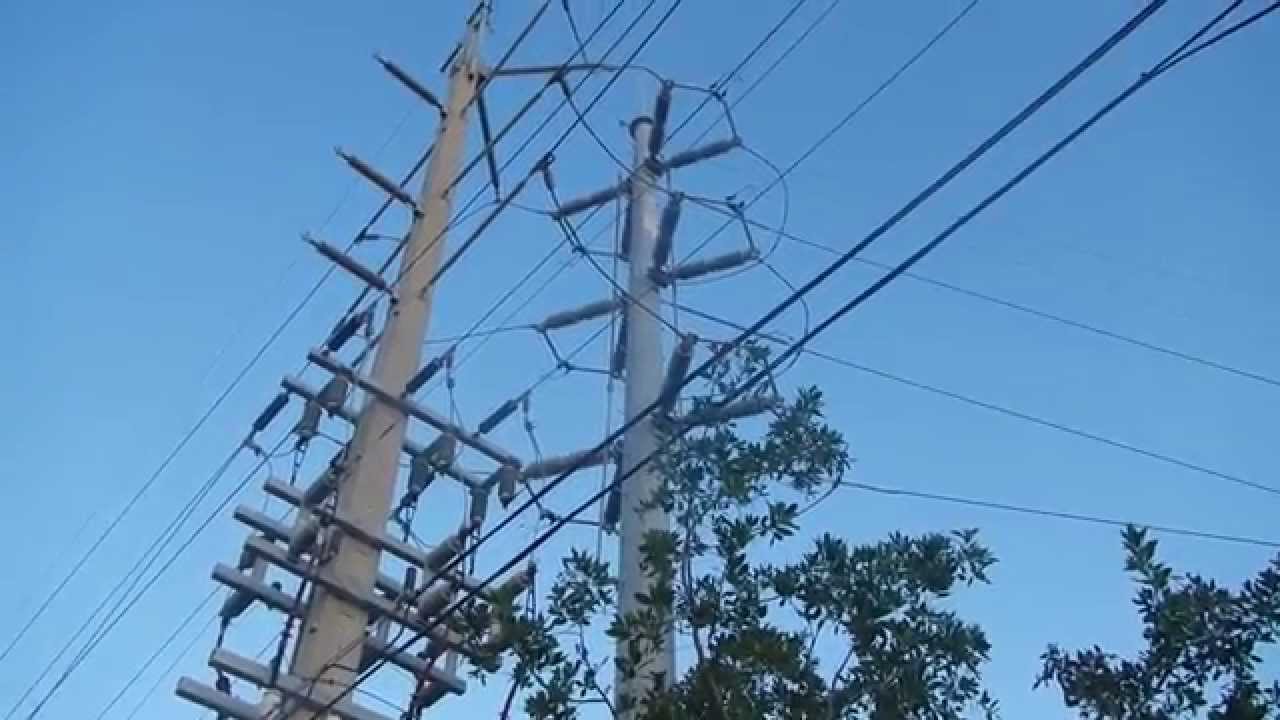 Sizzling Electrical Wires - Marathon, FL - YouTube