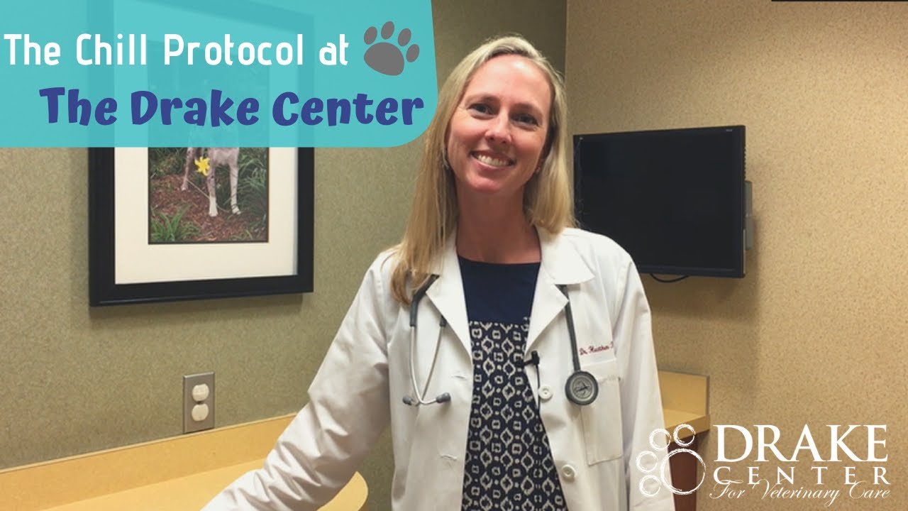 The Chill Protocol at The Drake Center - YouTube