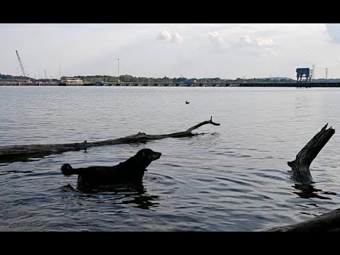 Numbers 8 NKJV - YouTube