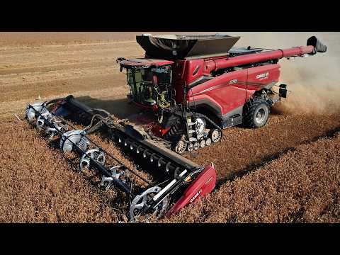 Case IH Axial Flow AF10 | MacDon FD 235 | Trebbiatura Grano 2026 | Wheat Harvesting | Speranza