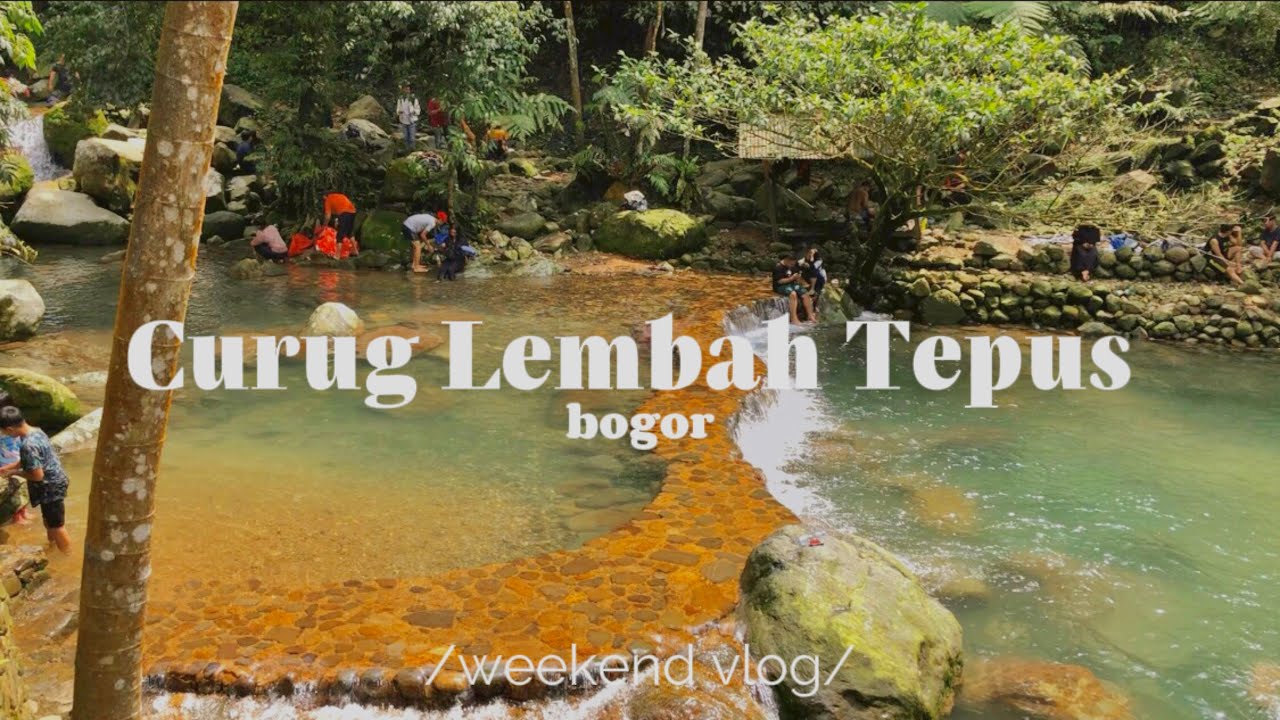 Curug Lembah Tepus 🏞️ | Taman Nasional Gunung Halimun Salak route 🌳 ...