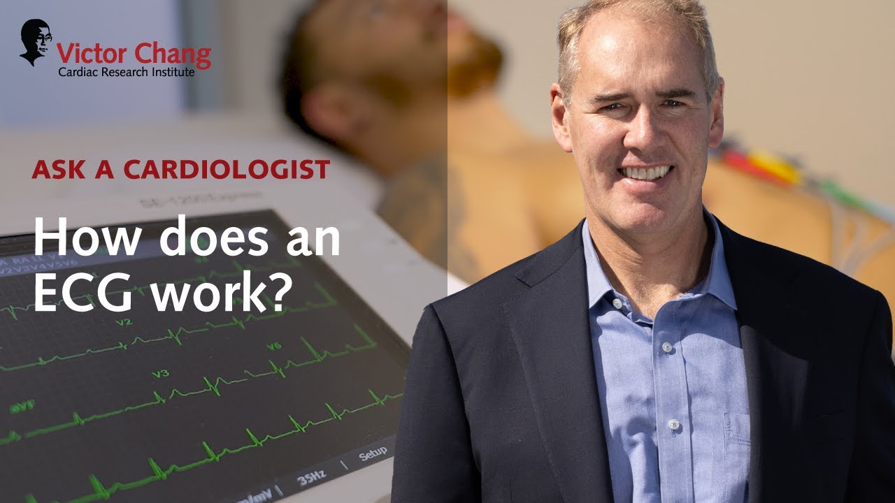 What to expect when having an ECG | Cardiologist Prof Kovacic explains ...