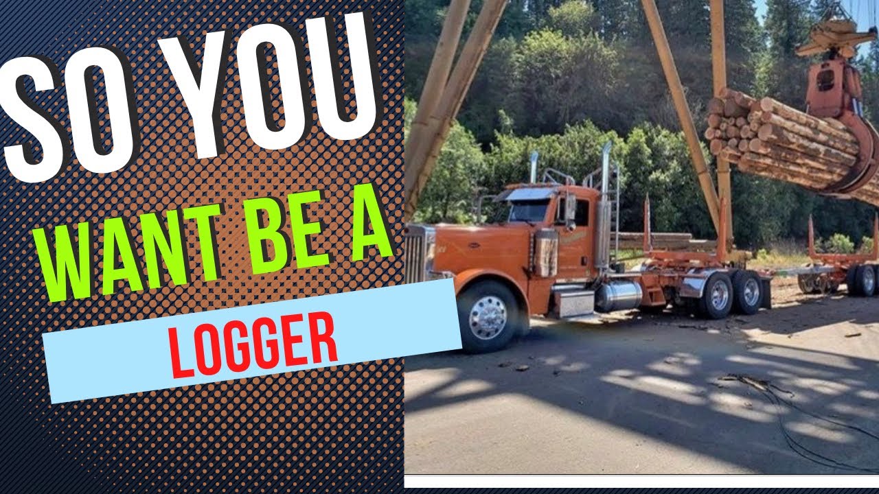 So you want to be a logger??🤷🏽‍♂️(what would I do differently) - YouTube