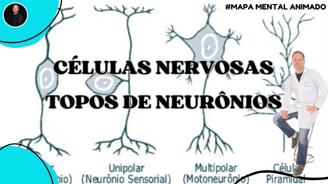 Células nervosas - Neurônios - MAPA MENTAL ANIMADO - YouTube