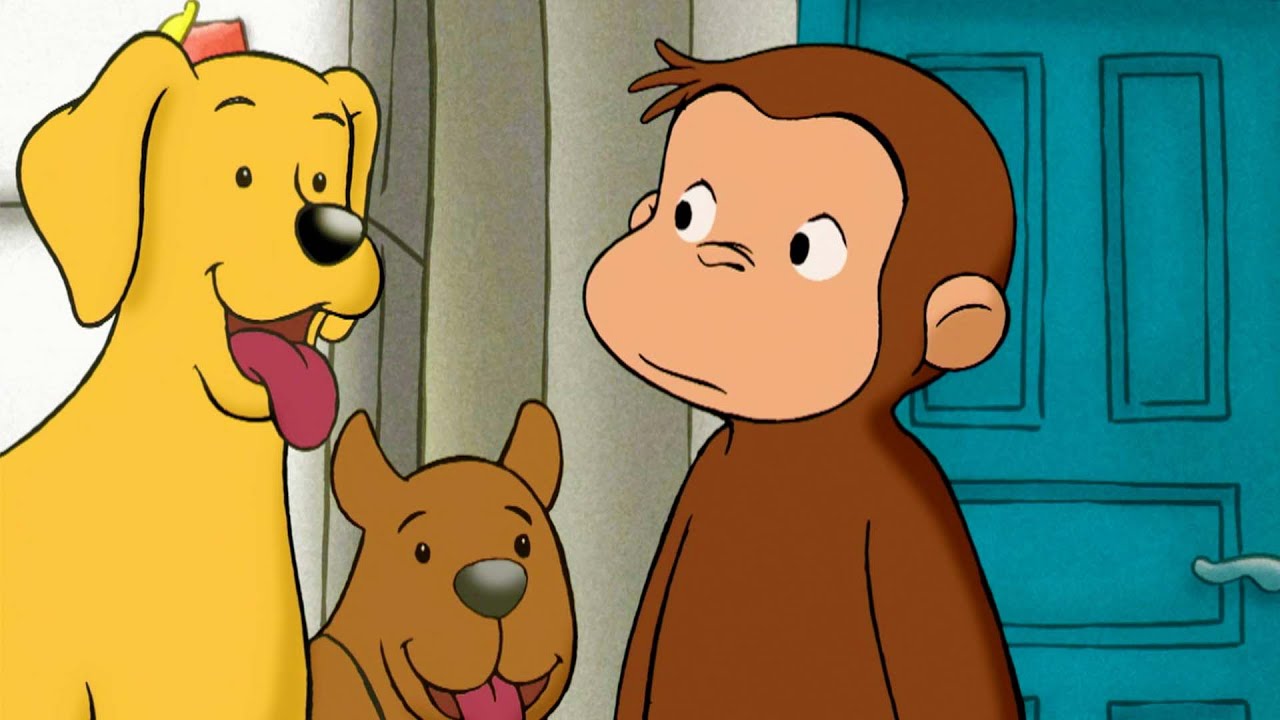 I cani amici di George 🐵 Curioso Come George 🐵 Cartoni per Bambini ...