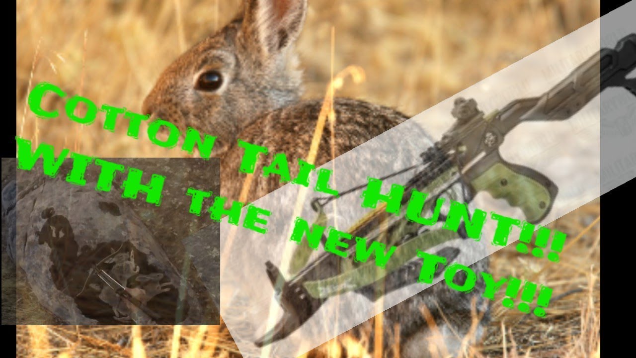 RABBIT HUNT!!! with the alligator crossbow pistol!!! - YouTube