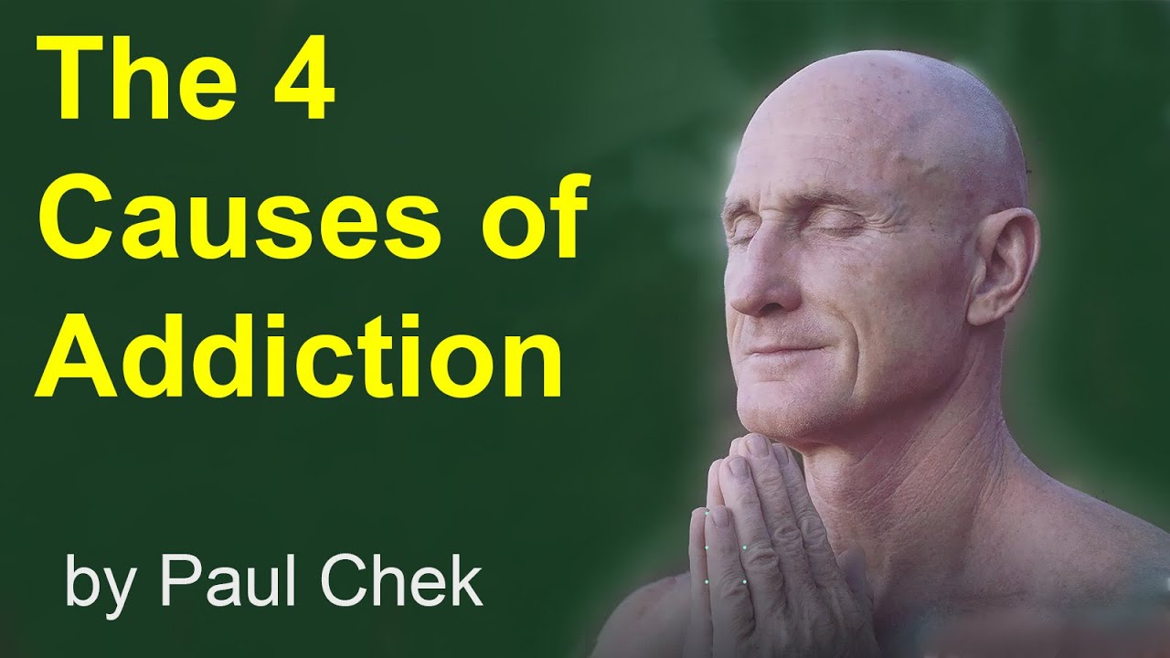 The 4 Causes of Addiction - Paul Chek - YouTube