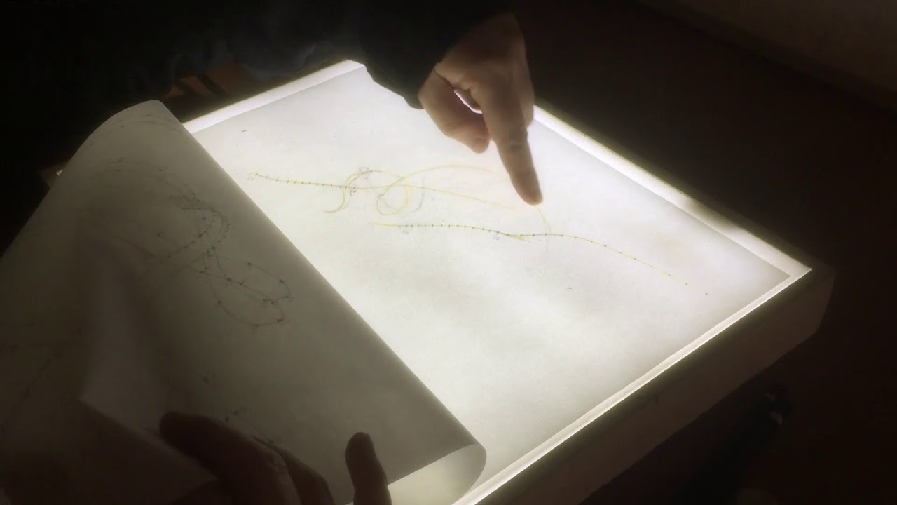 Learn to animate wings – discovering wing movement, part 2 - YouTube