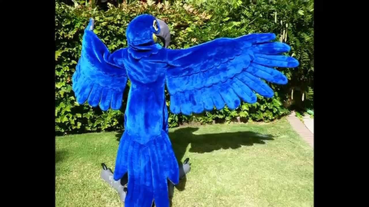 Macarena Macaw: from concept to creation! - YouTube
