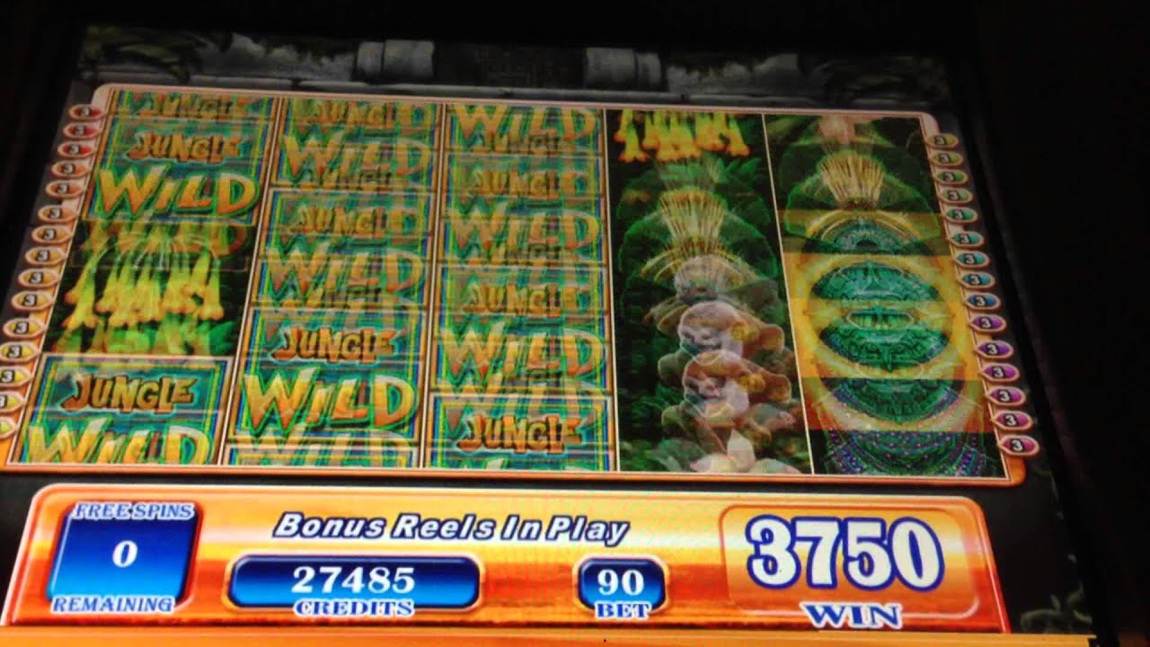 Jungle Wild - WMS Slot Machine Bonus Win - YouTube