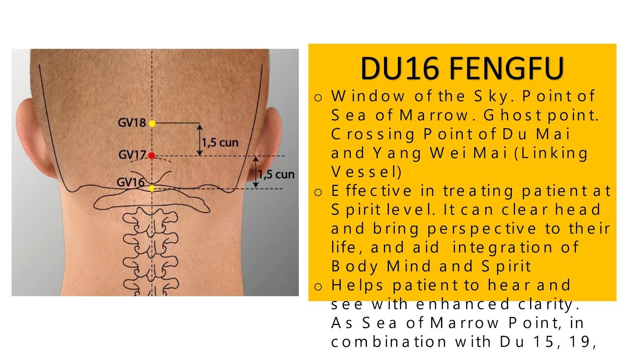 DU 16 FENGFU (PALACE OF WIND, WIND MANSION, ROOT OF PREOCCUPATION ...
