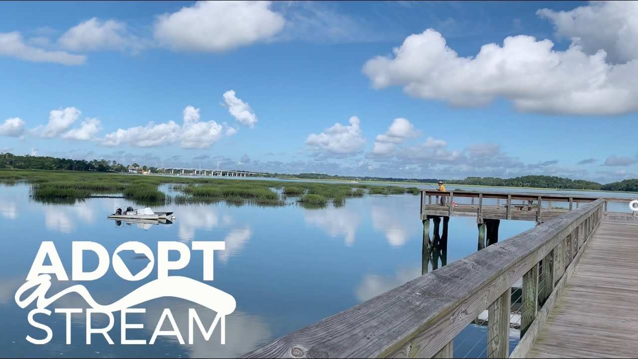 Volunteers needed locally for South Carolina's Adopt-a-Stream Program ...