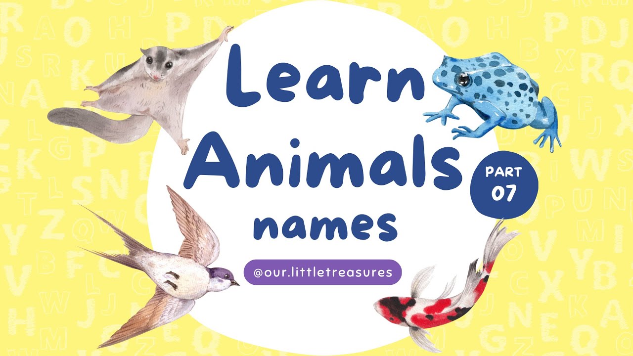 Learn Animals Names Part 07 | English Vocabulary for Preschool and ...