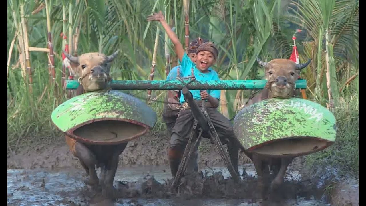 Membuat KROTOKAN Untuk Tradisi Malean Sampi | BOCAH PETUALANG (23/08/19 ...