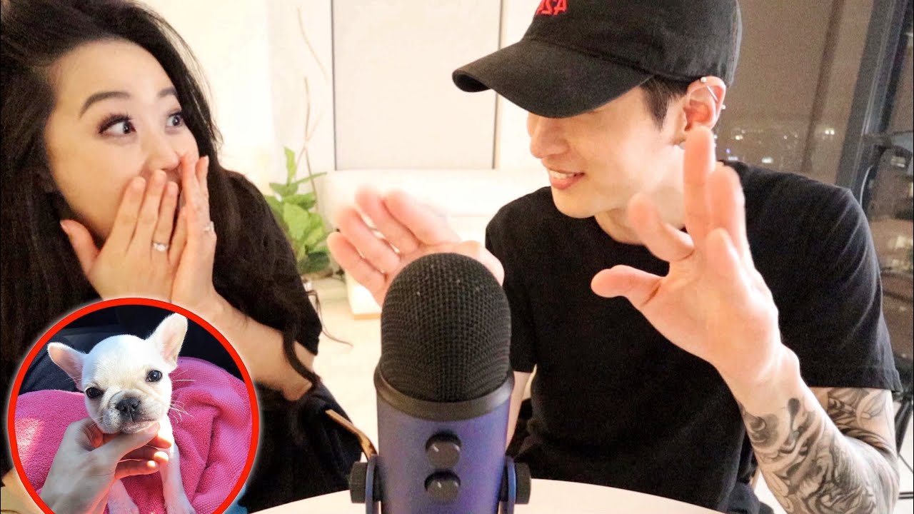THE DOGS ARE COMING BACK + making Zach Choi ASMR teach me his ways ...